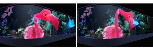 How to Make and Design Naked Eye 3D LED Screen?